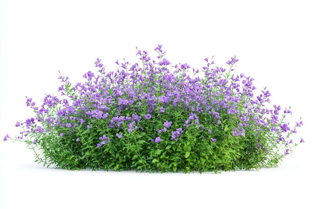 Real purple flower bushes flowers | Free Photo - rawpixel