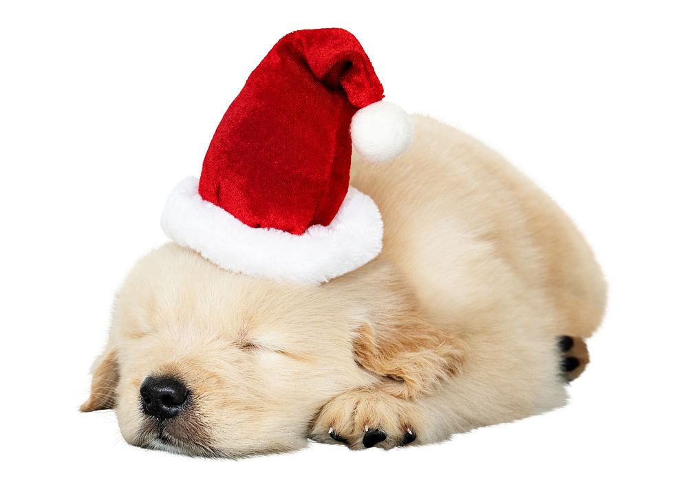Sleeping+santa Background Images | Free Photos, PNG Stickers ...