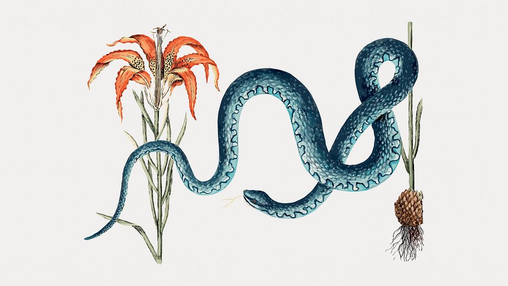 Wampum Snake sticker, vintage animal | Free Vector - rawpixel