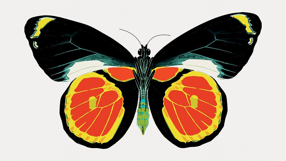 EA Séguy's butterfly sticker, vintage | Free Vector - rawpixel