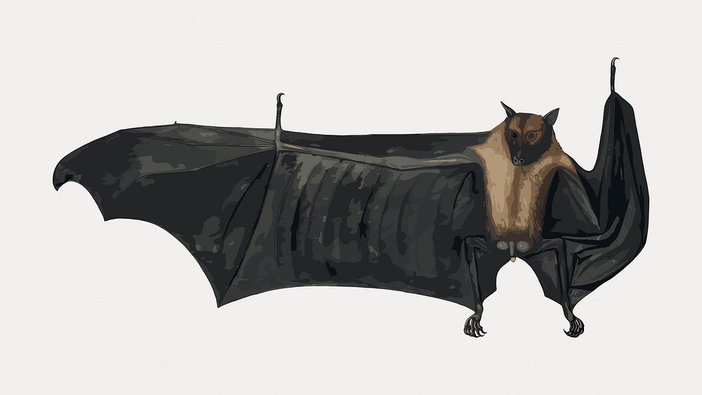 Great Indian Fruit Bat design | Free Vector - rawpixel