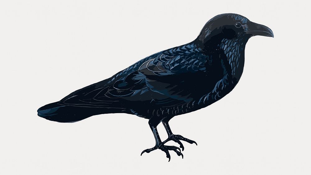 Raven, vintage bird illustration Wilhelm | Free Vector - rawpixel
