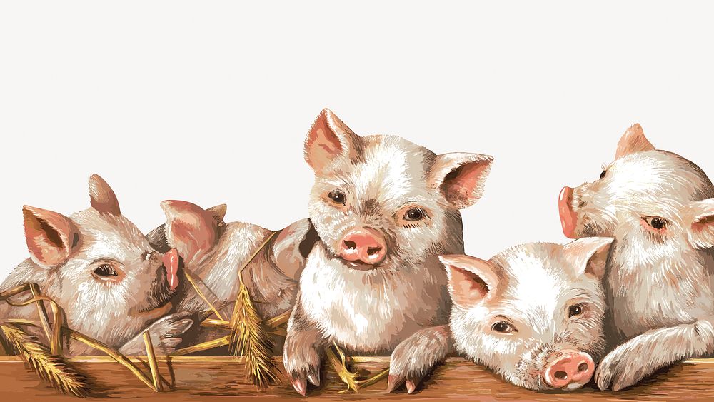 Border Pig Images | Free Photos, PNG Stickers, Wallpapers & Backgrounds ...