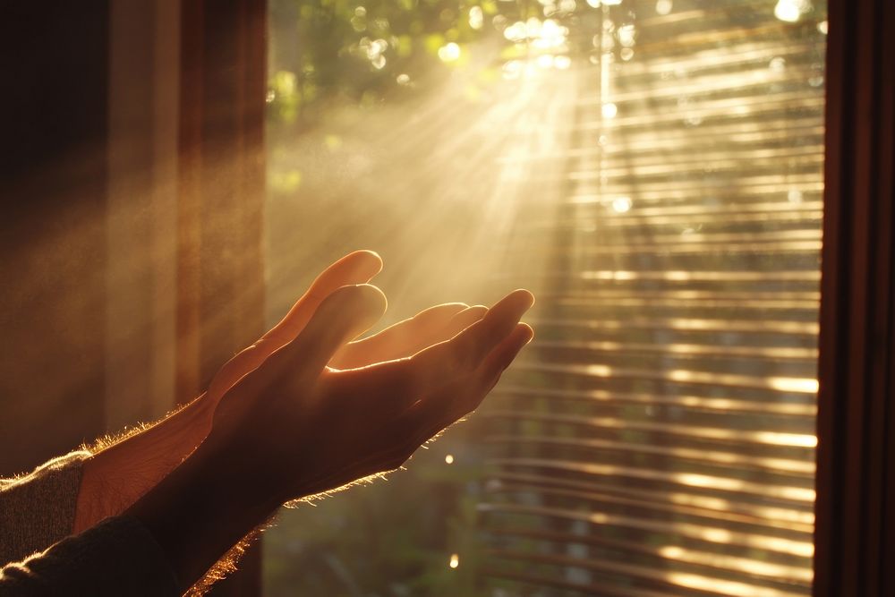 Sunlight hands morning rays. | Free Photo - rawpixel