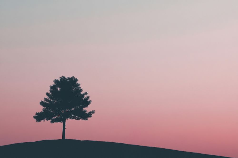 Simple background nature tree sky. | Free Photo - rawpixel