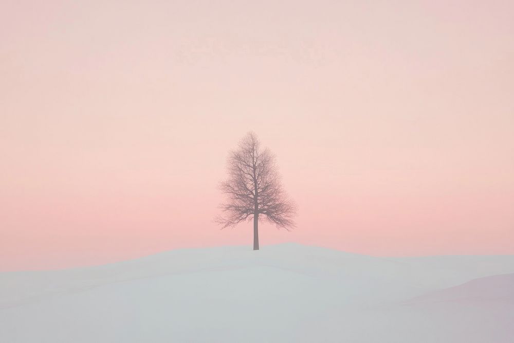 Simple background nature tree sky. | Free Photo Illustration - rawpixel