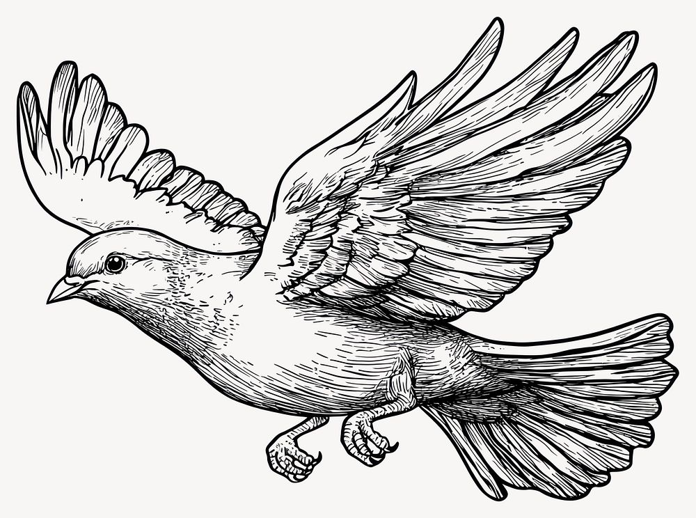 Dove flying art drawing sketch | Free Vector - rawpixel