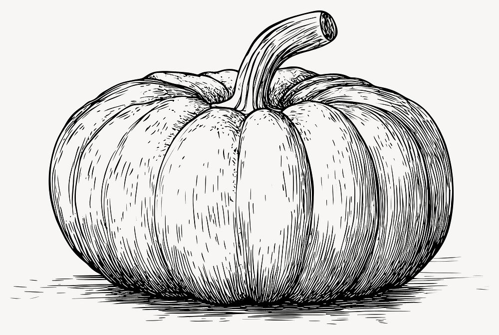 Pumpkin art drawing sketch vector | Free Vector - rawpixel