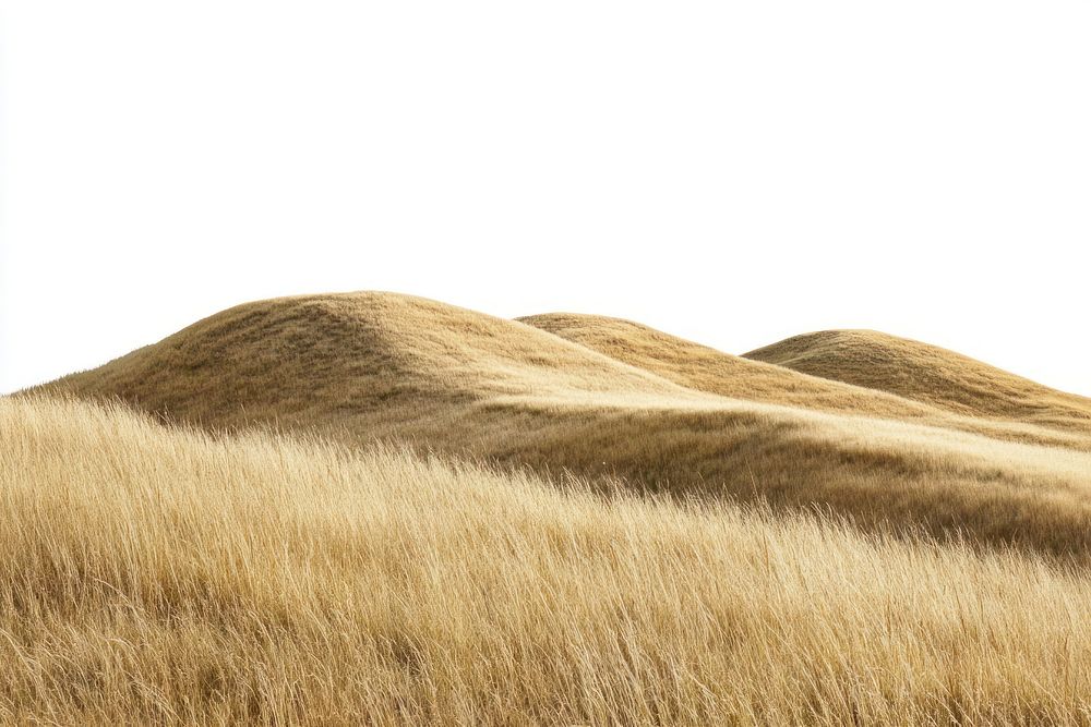 Grass hills landscape outdoors. | Free Photo - rawpixel