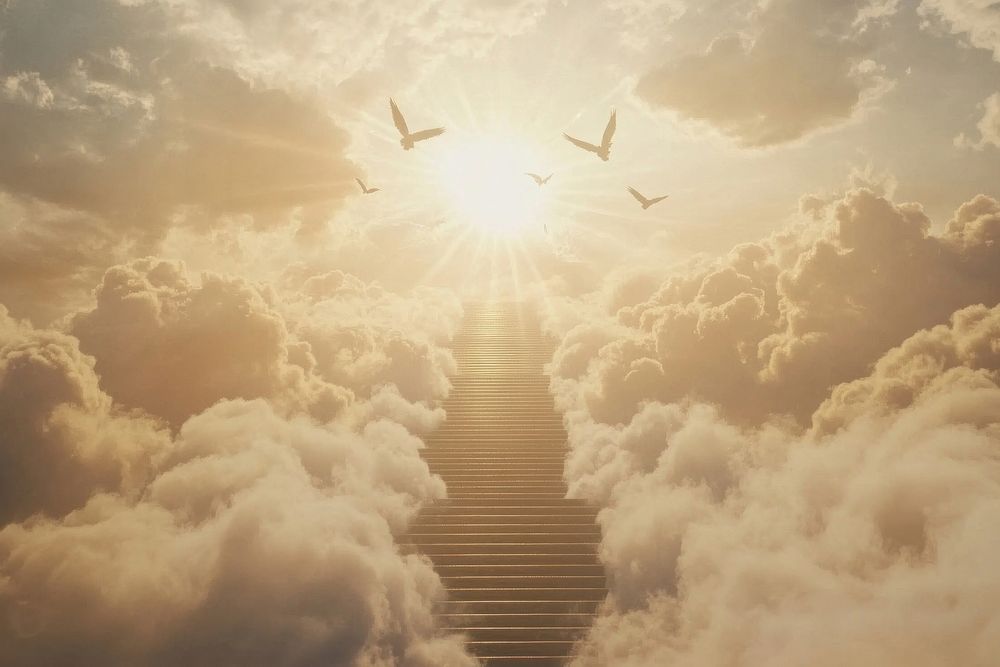 Hope+theme Person Images | Free Photos, PNG Stickers, Wallpapers ...