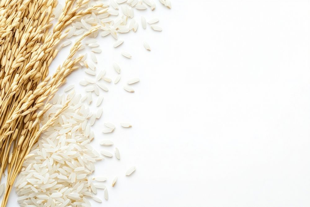 White rice border background produce | Free Photo - rawpixel