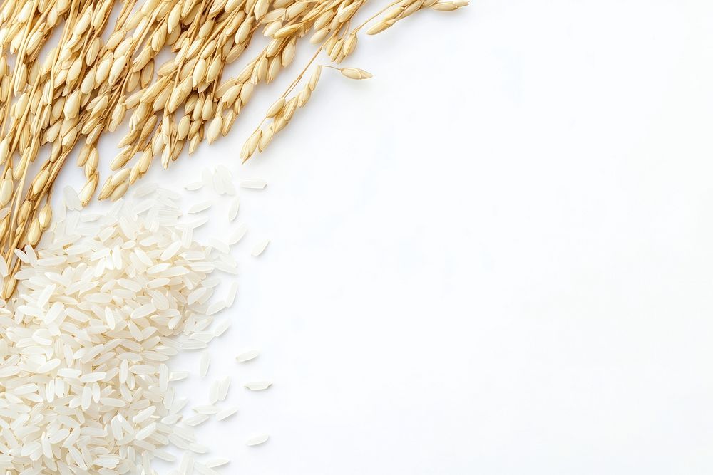 White rice border background produce | Free Photo - rawpixel