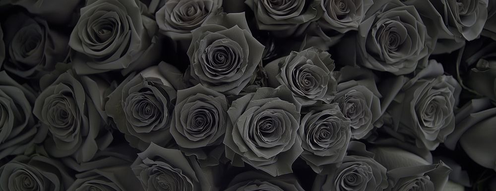 Black roses flowers arrangement natural. | Free Photo - rawpixel
