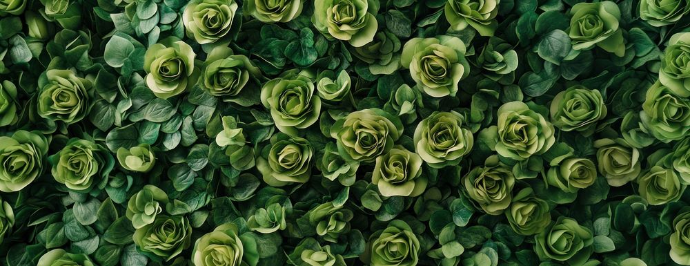 Green roses background flower design. | Free Photo - rawpixel