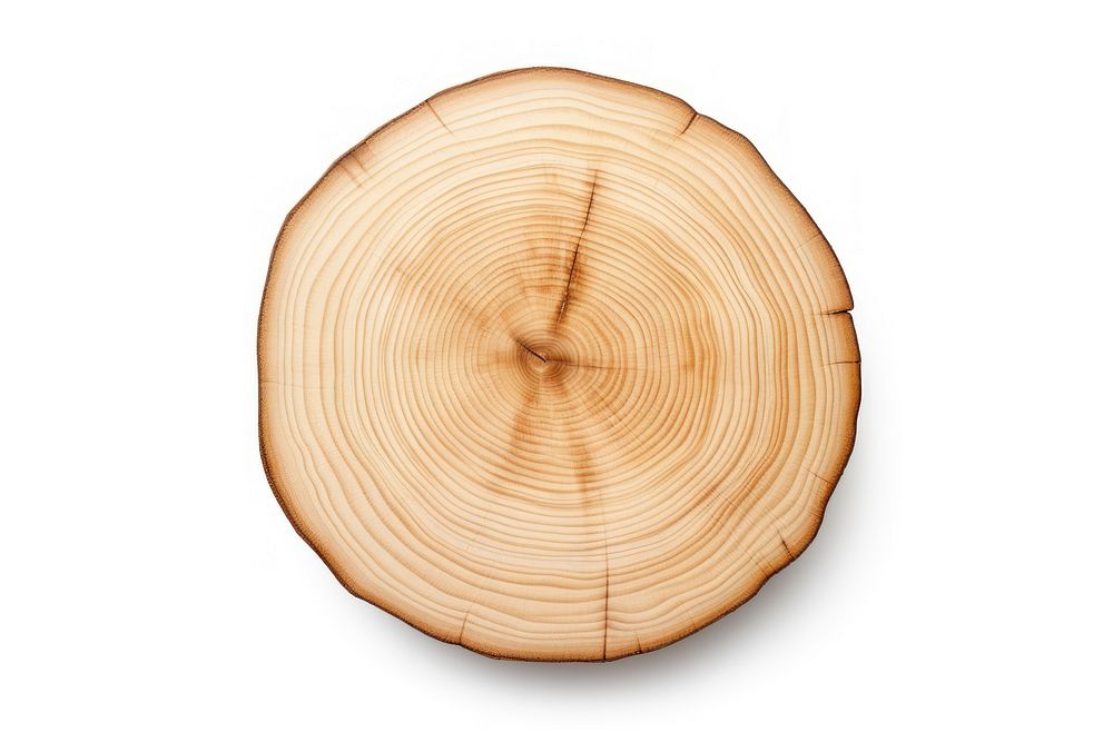 Wooden tree ring natural pattern | Free Photo - rawpixel