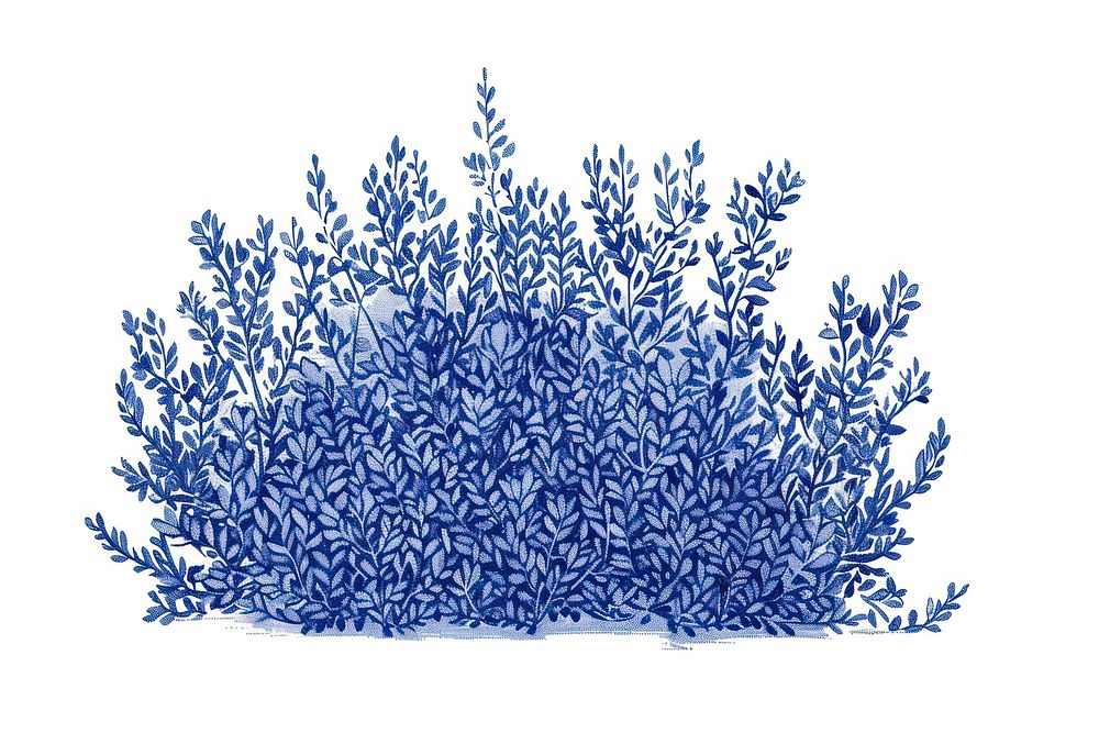 Hand drawn bush nature plant | Free Photo Illustration - rawpixel