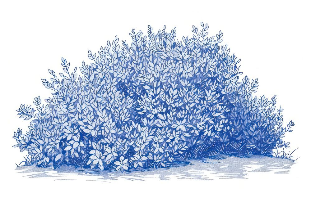 Hand drawn bush drawing nature | Free Photo Illustration - rawpixel