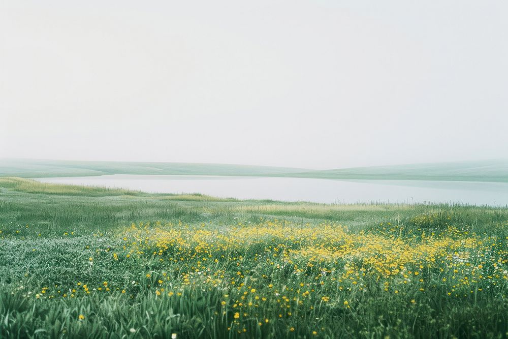 Lake border landscape flowers scenery. | Free Photo - rawpixel