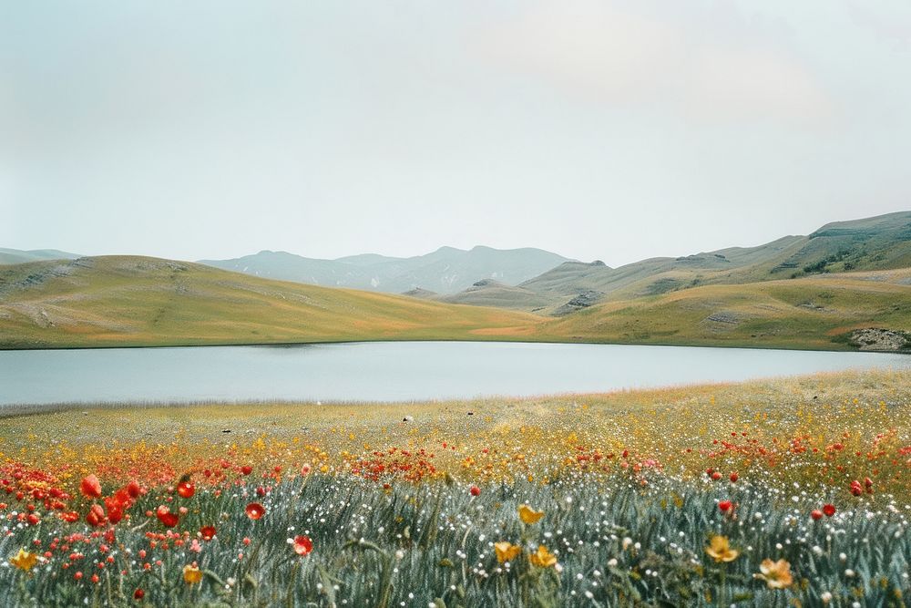 Lake border landscape outdoors scenery. | Free Photo - rawpixel