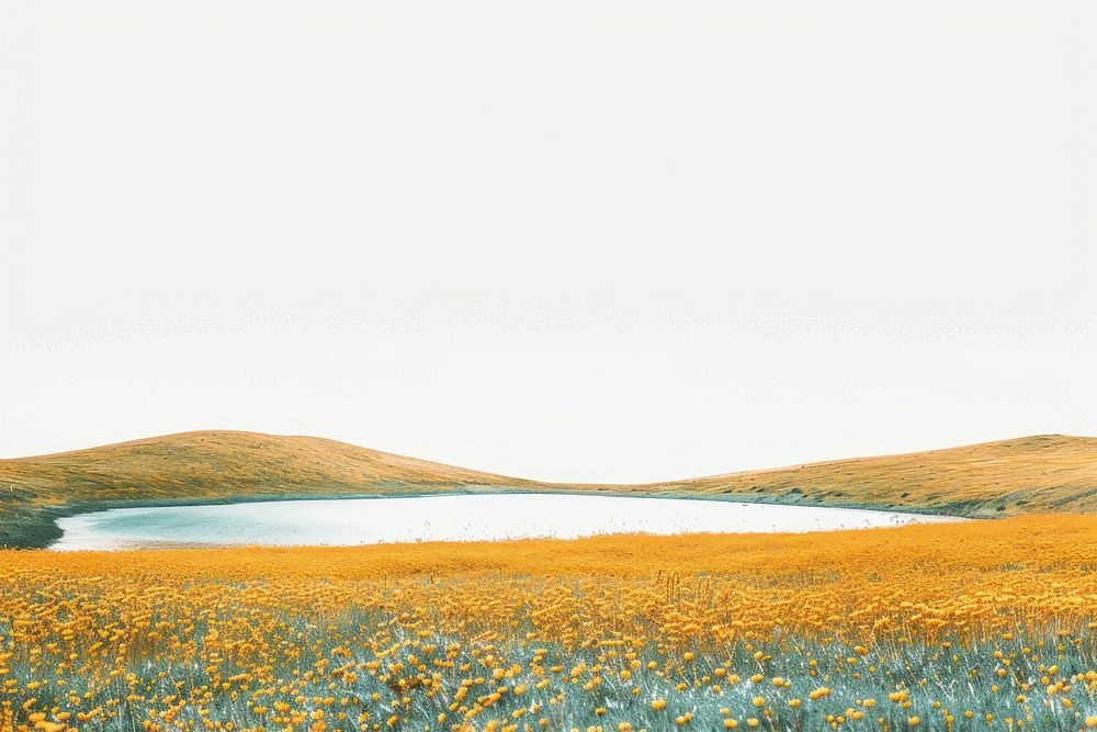 Lake border landscape photography scenery. | Free Photo - rawpixel