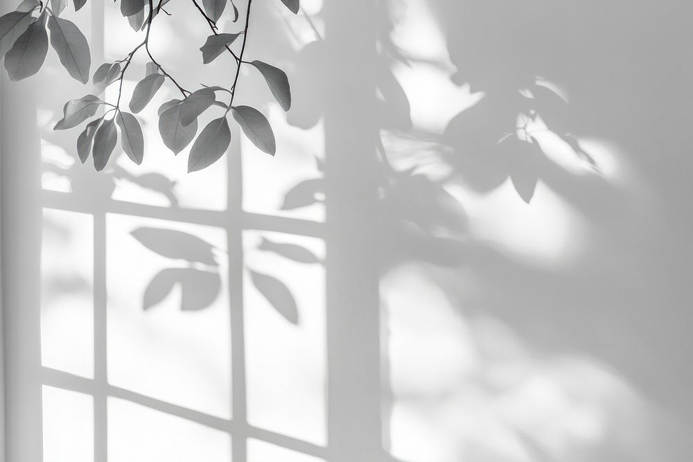 White window shadow white light | Free Photo - rawpixel