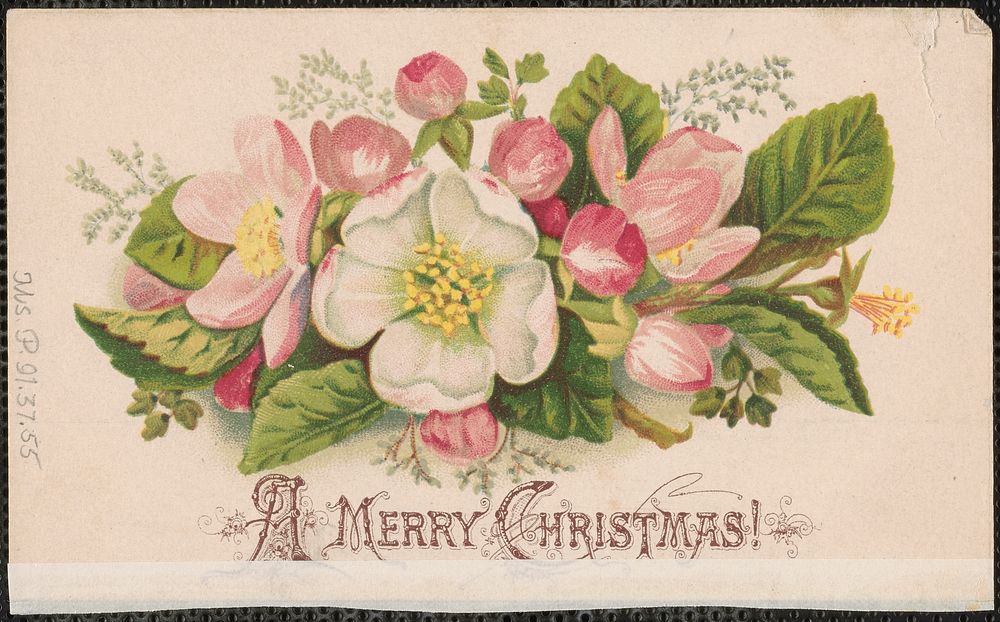 Postcard Tif Art | Download Free Original Artworks on rawpixel