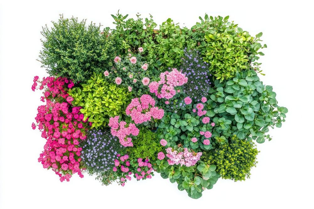 Garden flower bed flowers nature | Free Photo - rawpixel