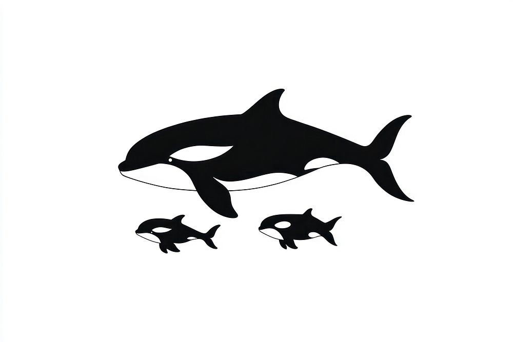 Orca whale and 2 cubs | Free Photo Illustration - rawpixel