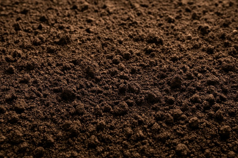 Rich fertile soil texture closeup. | Free Photo - rawpixel