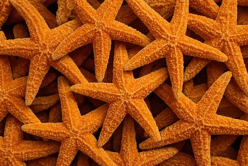 Vibrant starfish texture pattern. | Free Photo - rawpixel