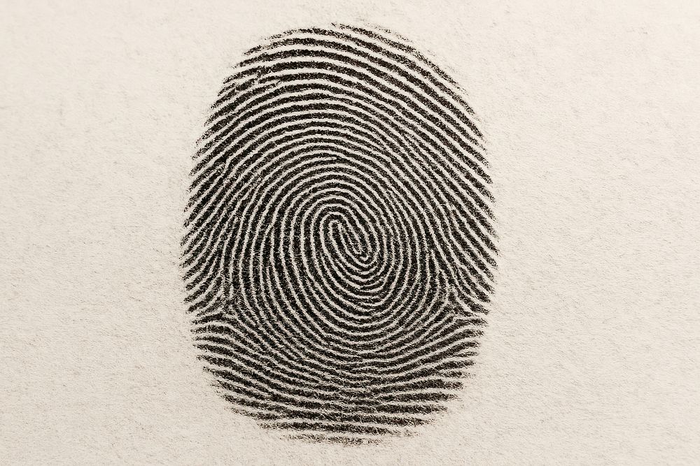 Detailed fingerprint on textured paper. | Free Photo - rawpixel