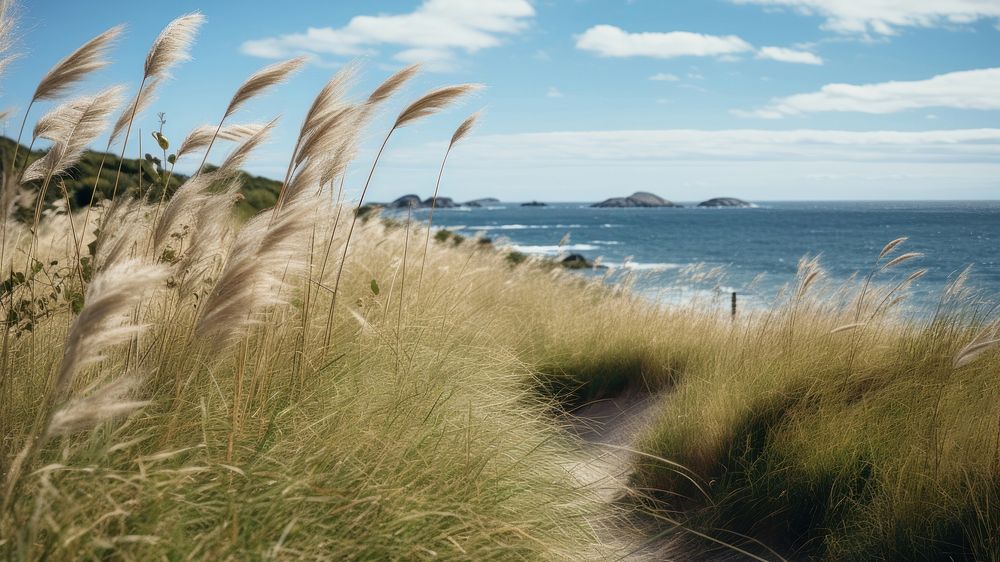 Serene coastal path view | Free Photo - rawpixel