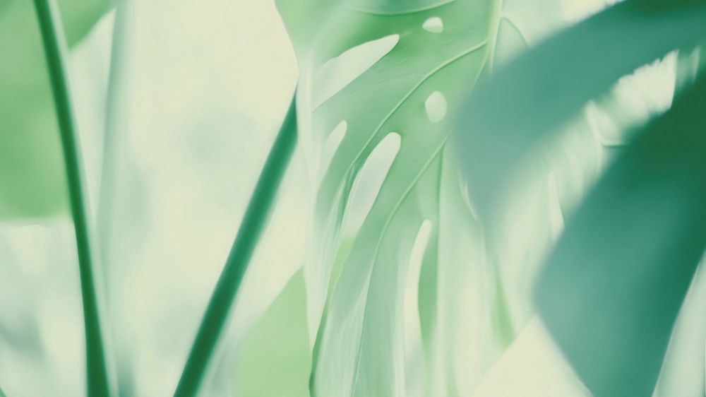 Lush abstract green foliage art | Free Photo - rawpixel