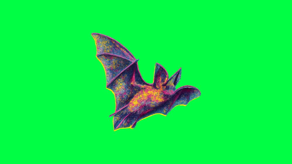 Colorful bat on green background | Free Photo - rawpixel