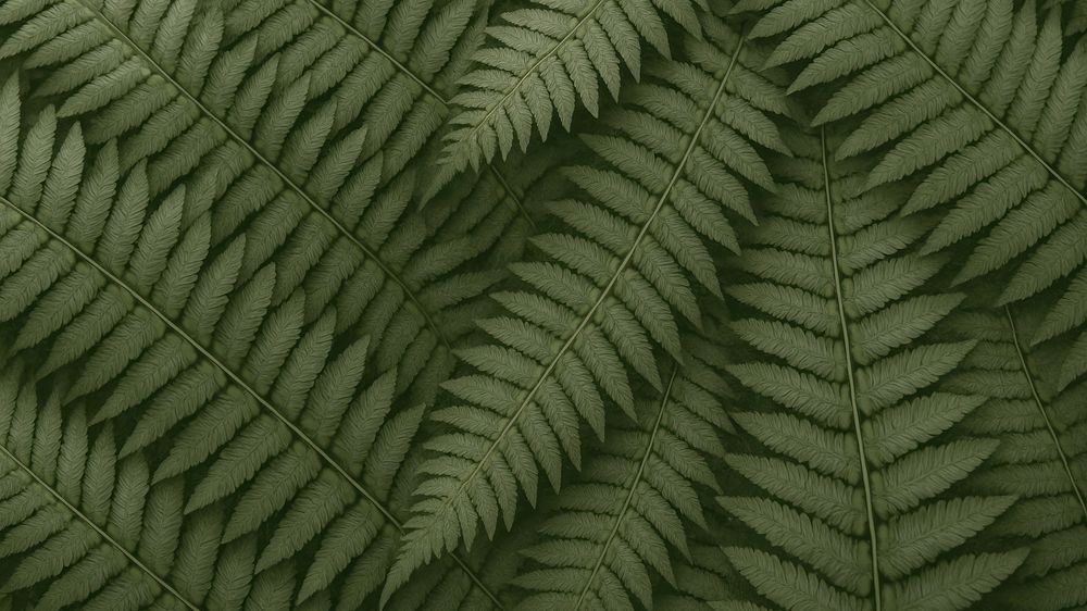 Lush green fern leaf pattern | Free Photo - rawpixel