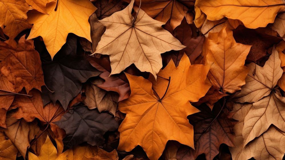 Desktop Wallpaper Design Resource Hd High Resolution Images | Download ...