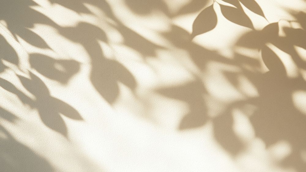Serene leaf shadow pattern, desktop | Free Photo - rawpixel