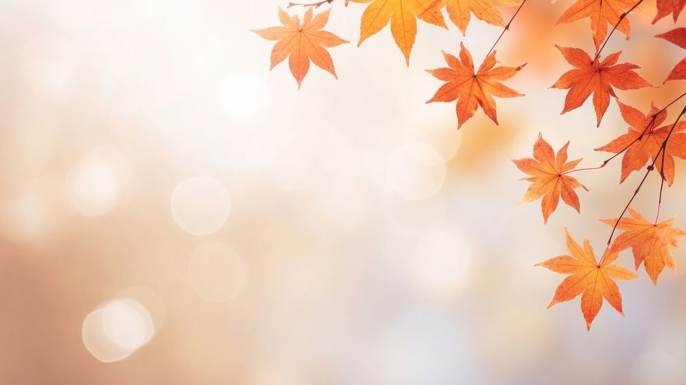 Minimalist Desktop Border Background Design Hd Wallpaper Images | Free ...