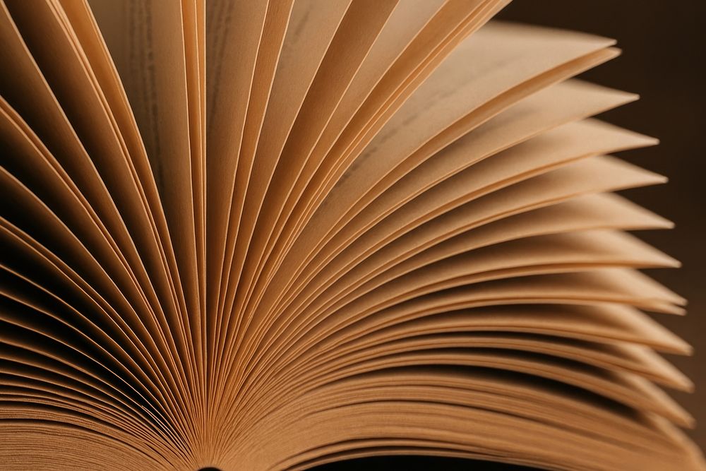 Open book pages fanned beautifully | Free Photo - rawpixel