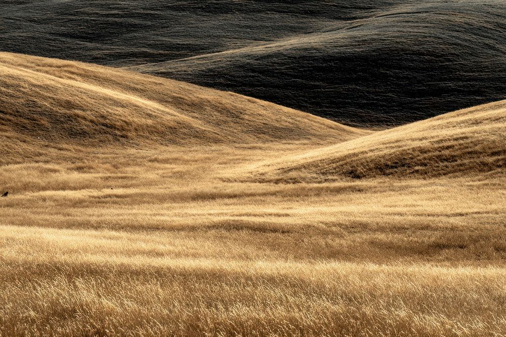 Grass Hill Grassland Images | Free Photos, PNG Stickers, Wallpapers ...