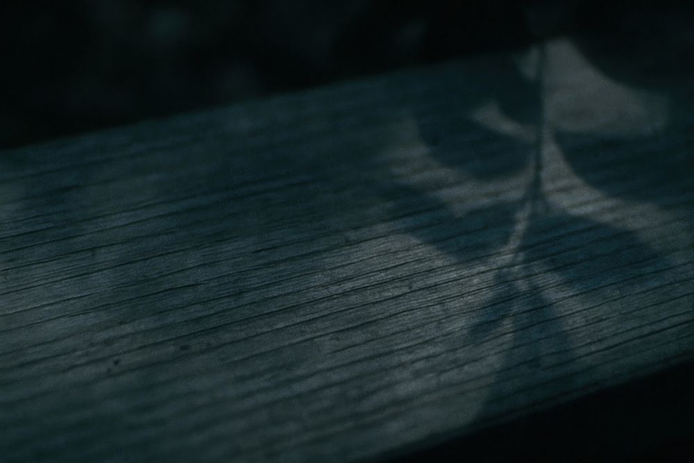 Dark Wooden Texture TIF Images | Free Photos, PNG Stickers, Wallpapers ...