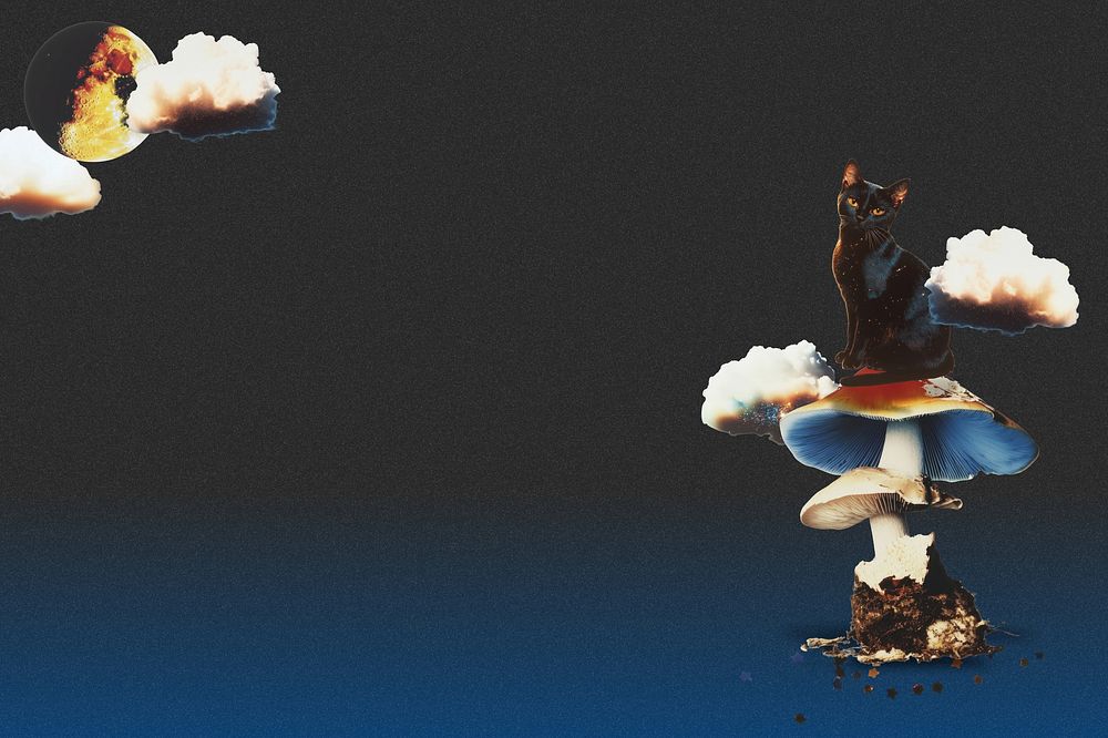 Moon+phase+art Aesthetic Images | Free Photos, PNG Stickers, Wallpapers ...