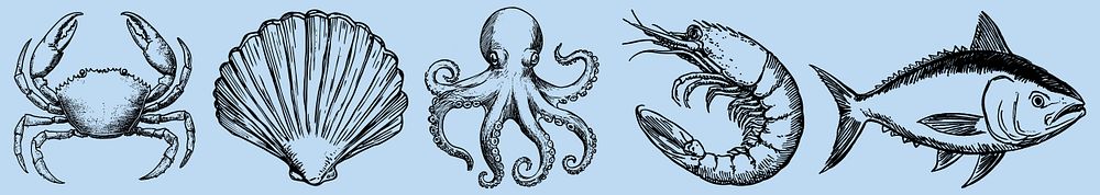 Detailed marine life illustrations, isolated | Free Vector - rawpixel