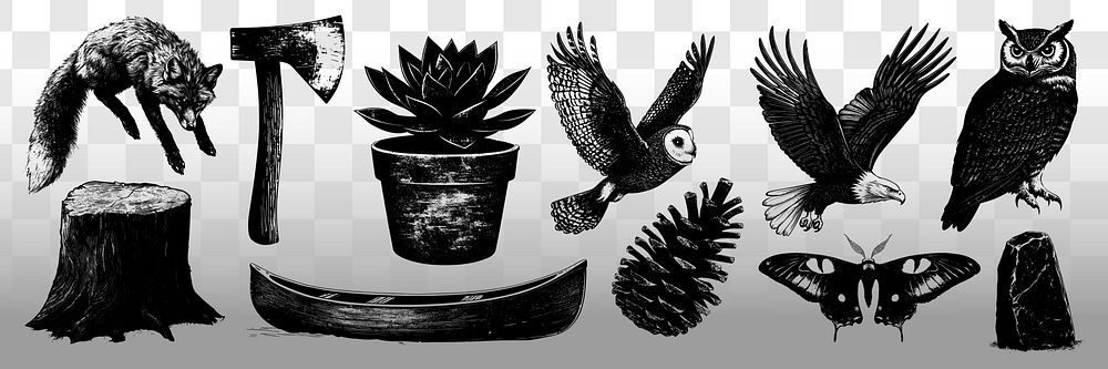 Rustic nature-themed illustrations collection, isolated | Premium ...