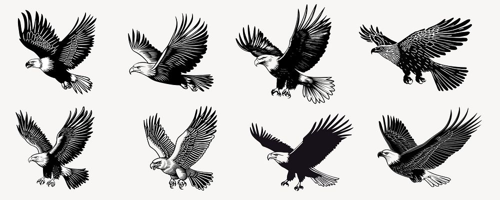 Illustrated eagles flight, isolated element | Premium Vector - rawpixel