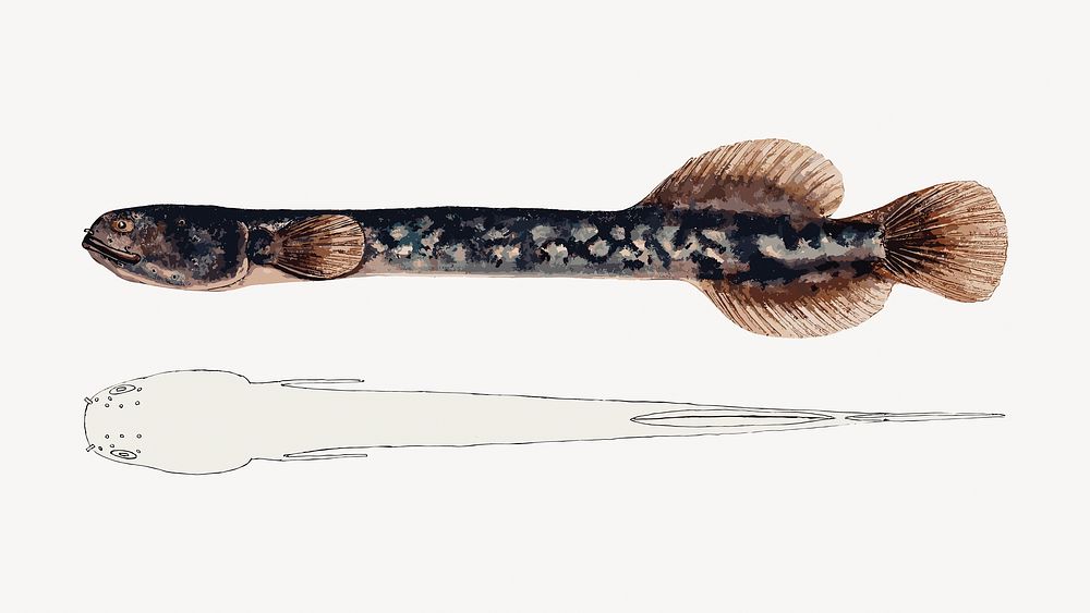 Brown Mudfish Images | Free Photos, PNG Stickers, Wallpapers ...