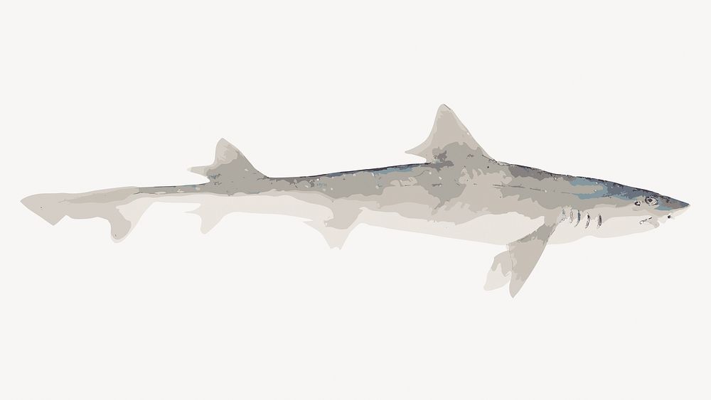 Animals Attacking Images | Free Photos, PNG Stickers, Wallpapers ...