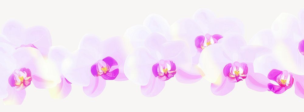 Orchids border illustration flowers floral | Free Vector - rawpixel
