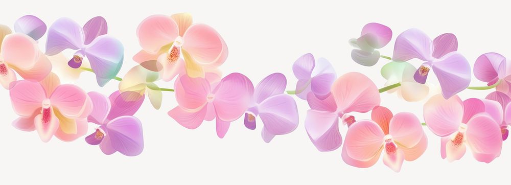 Orchids border illustration vibrant floral | Free Vector - rawpixel