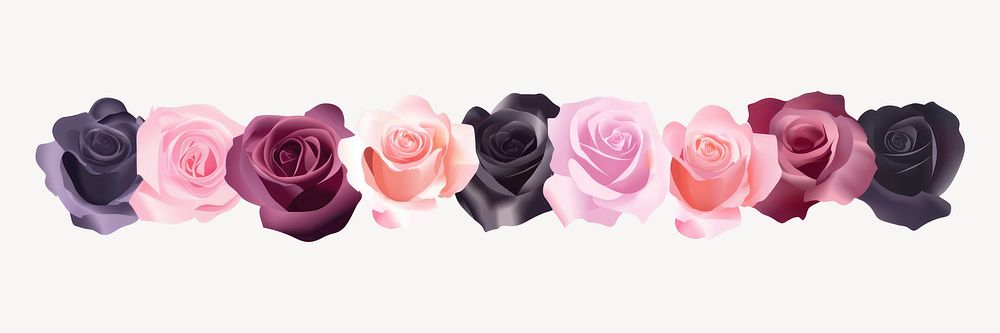 Black rose border illustration flower | Free Vector - rawpixel